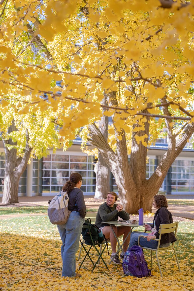 Life at WashU | Undergraduate Admissions | WashU