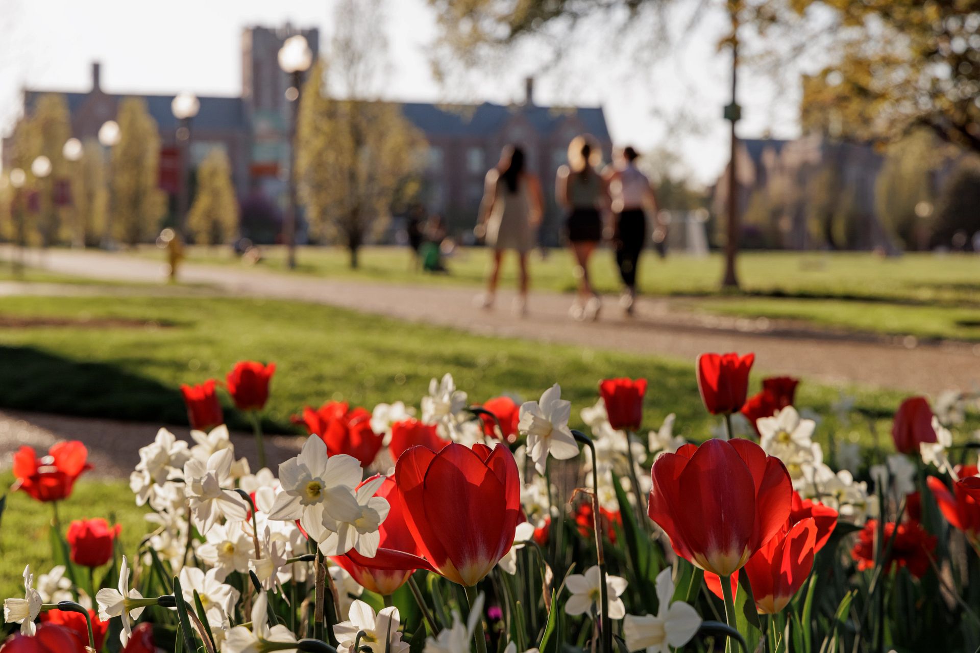 First-Year Experience | Undergraduate Admissions | WashU