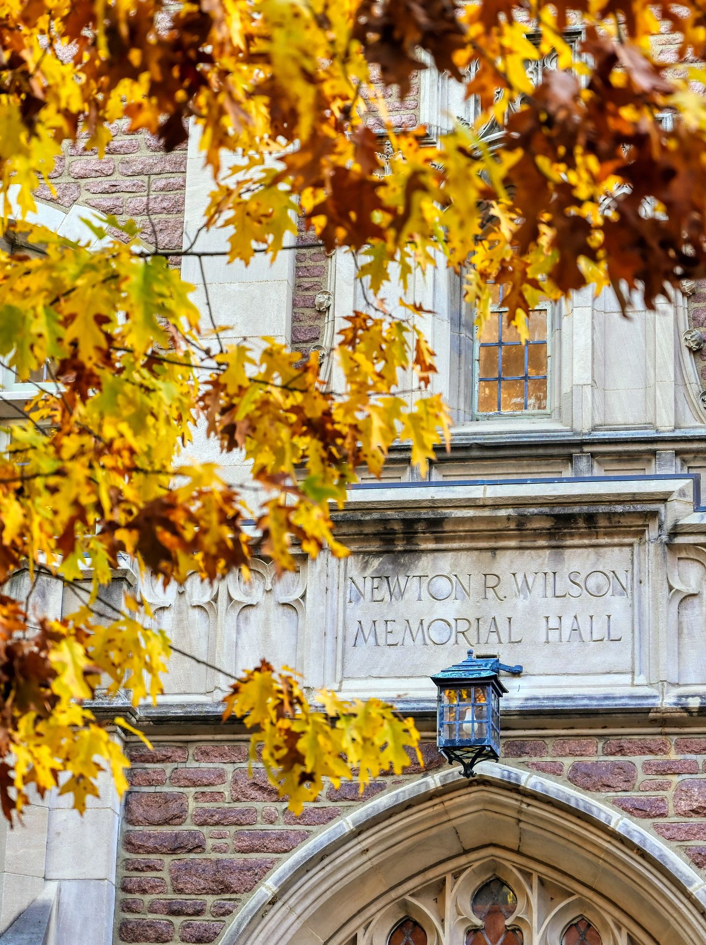 First-Year Experience | Undergraduate Admissions | WashU
